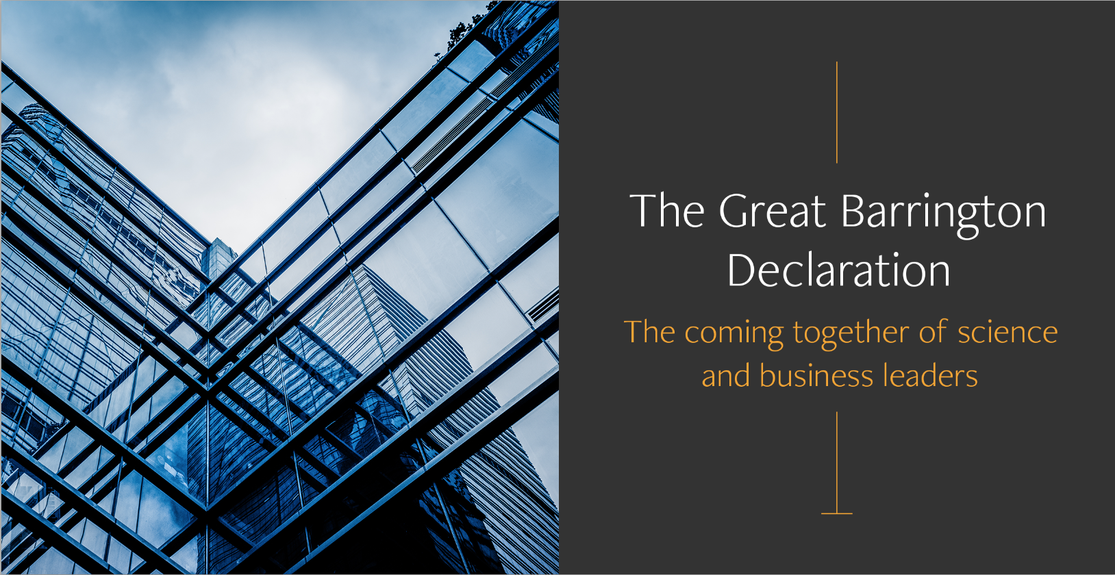 The Great Barrington Declaration - Elixirr